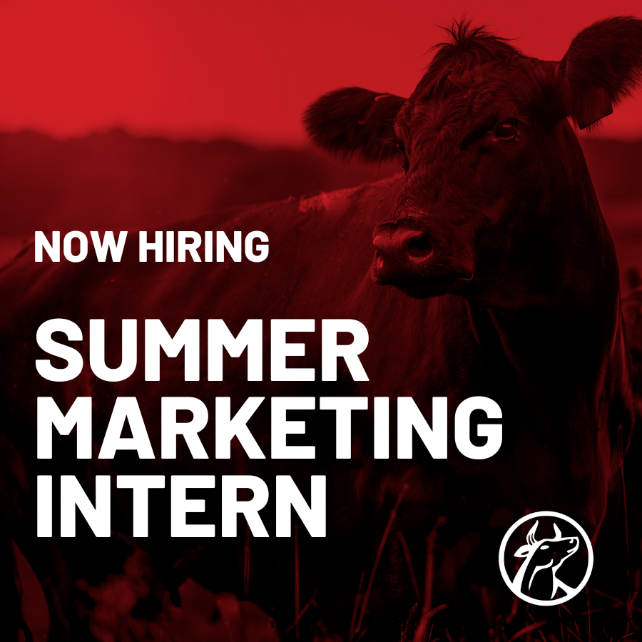 Job Openings | 2024 Summer Marketing Intern