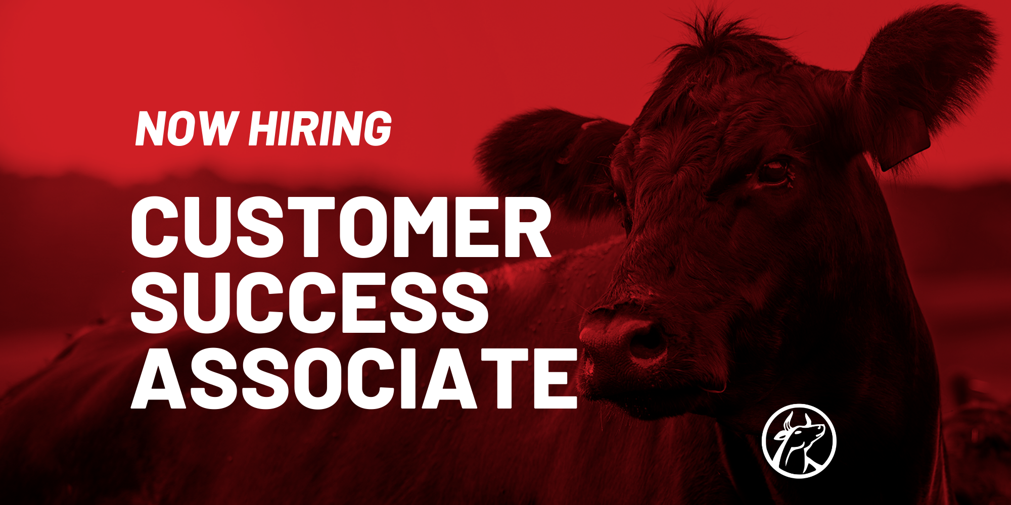 Job Openings | Customer Success Associate
